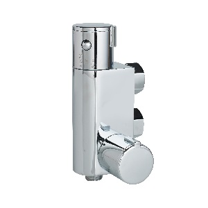 Compact Inline Vertical Shower Valve - Lime Kitchen & Bathroom